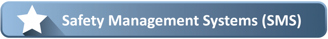 Public Transportation Agency Safety Plans | Federal Transit Administration